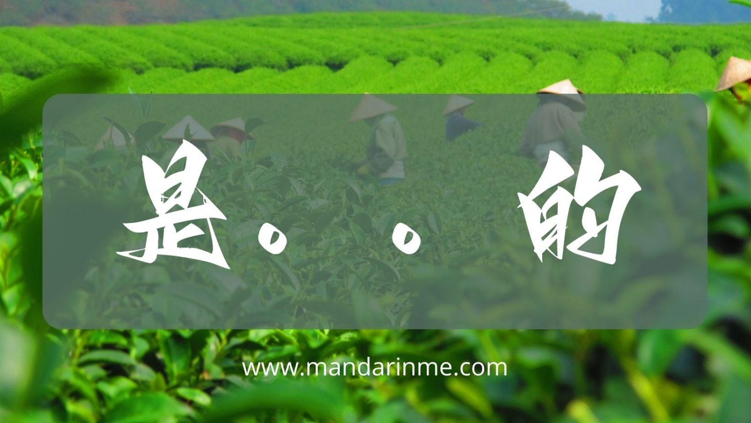 Penggunaan 是。。的(Shì..De) Dalam Bahasa Mandarin