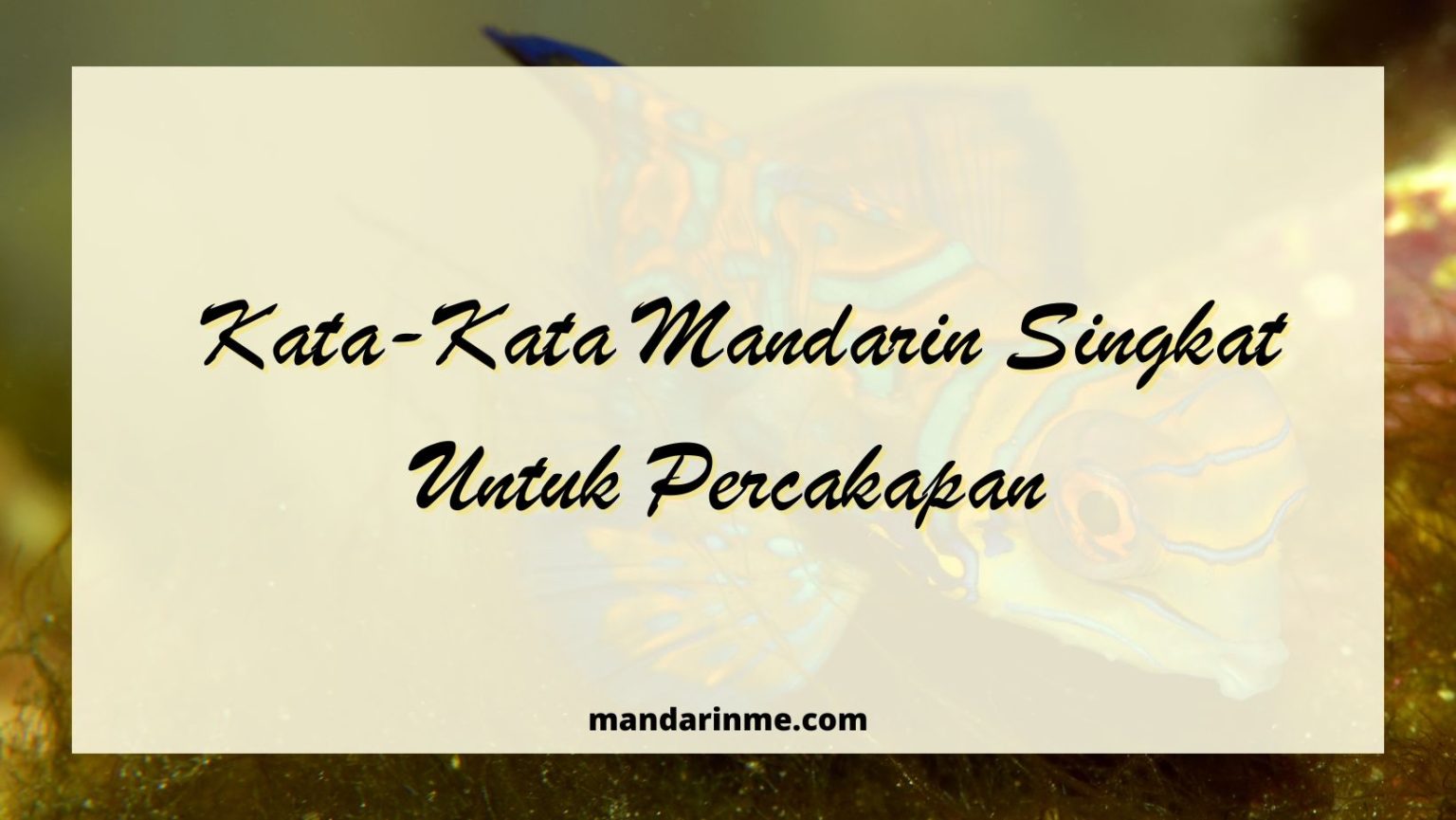 Kata-Kata Mandarin Singkat Untuk Percakapan - MandarinMe