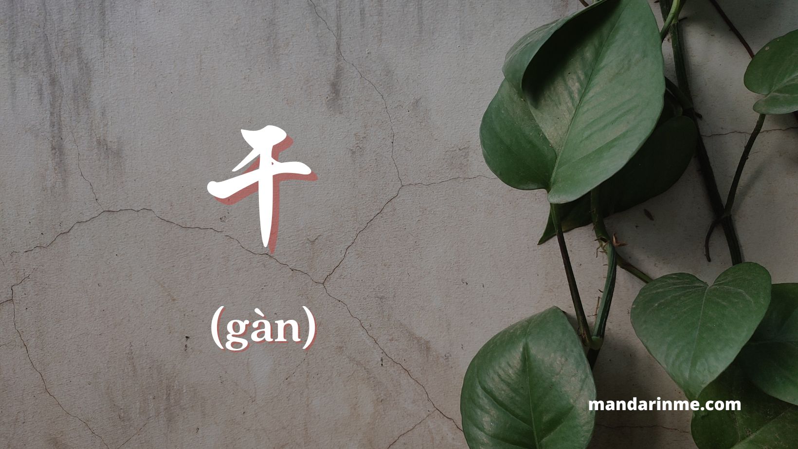 Penggunaan 干 Gan Dalam Bahasa Mandarin Mandarinme